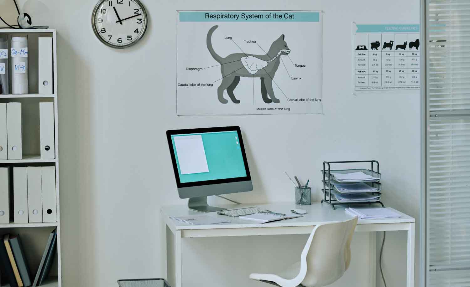 After-hours Customer Service for your 24/7 Veterinary Office | Centratel