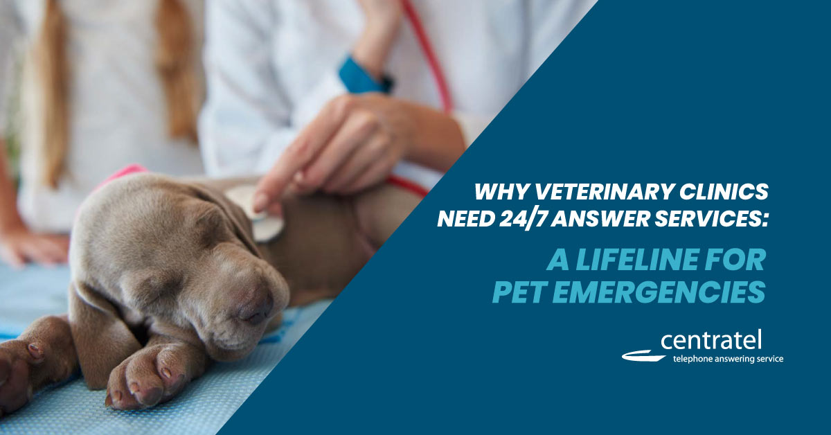 24/7 Veterinary Answer Service: Essential for Pet Emergency